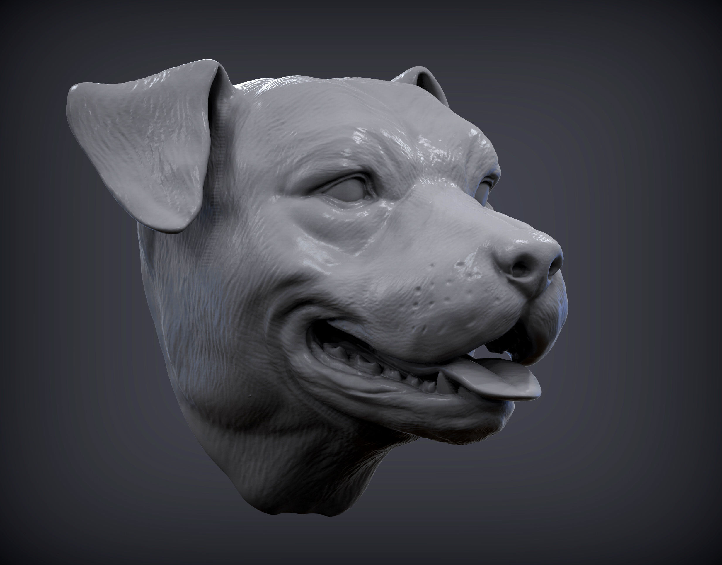 Pit bull head 3D model 3D printable | CGTrader