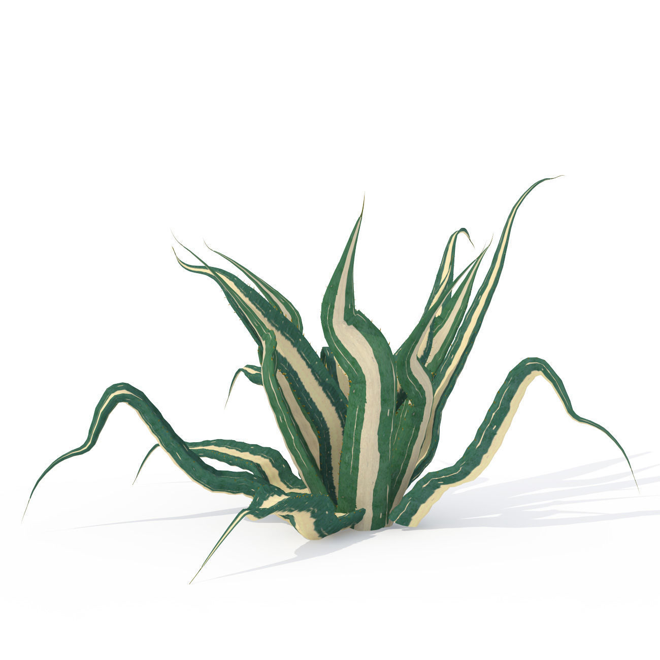 2020 XfrogPlants USA Southwest Library 3D model | CGTrader