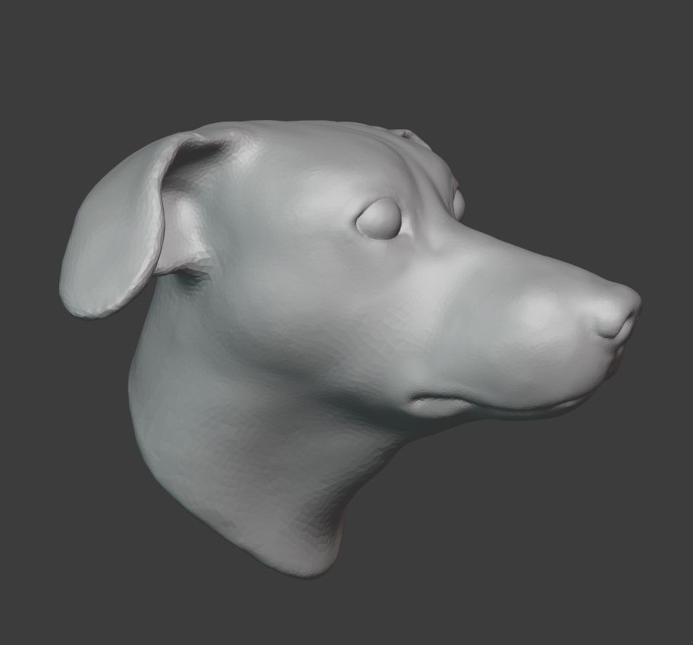 Dog head 3D model 3D printable | CGTrader