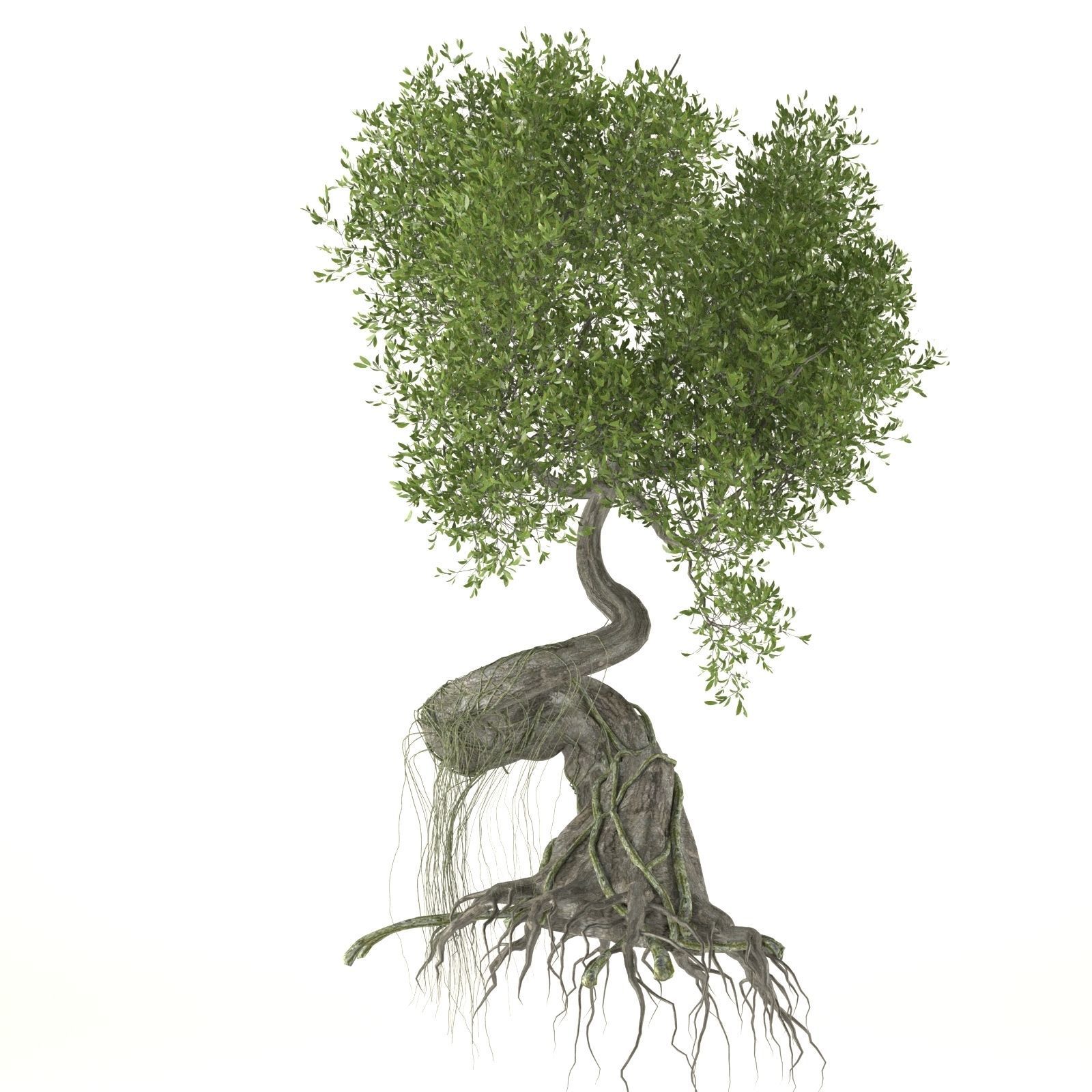 Fantasy tree 3D model | CGTrader