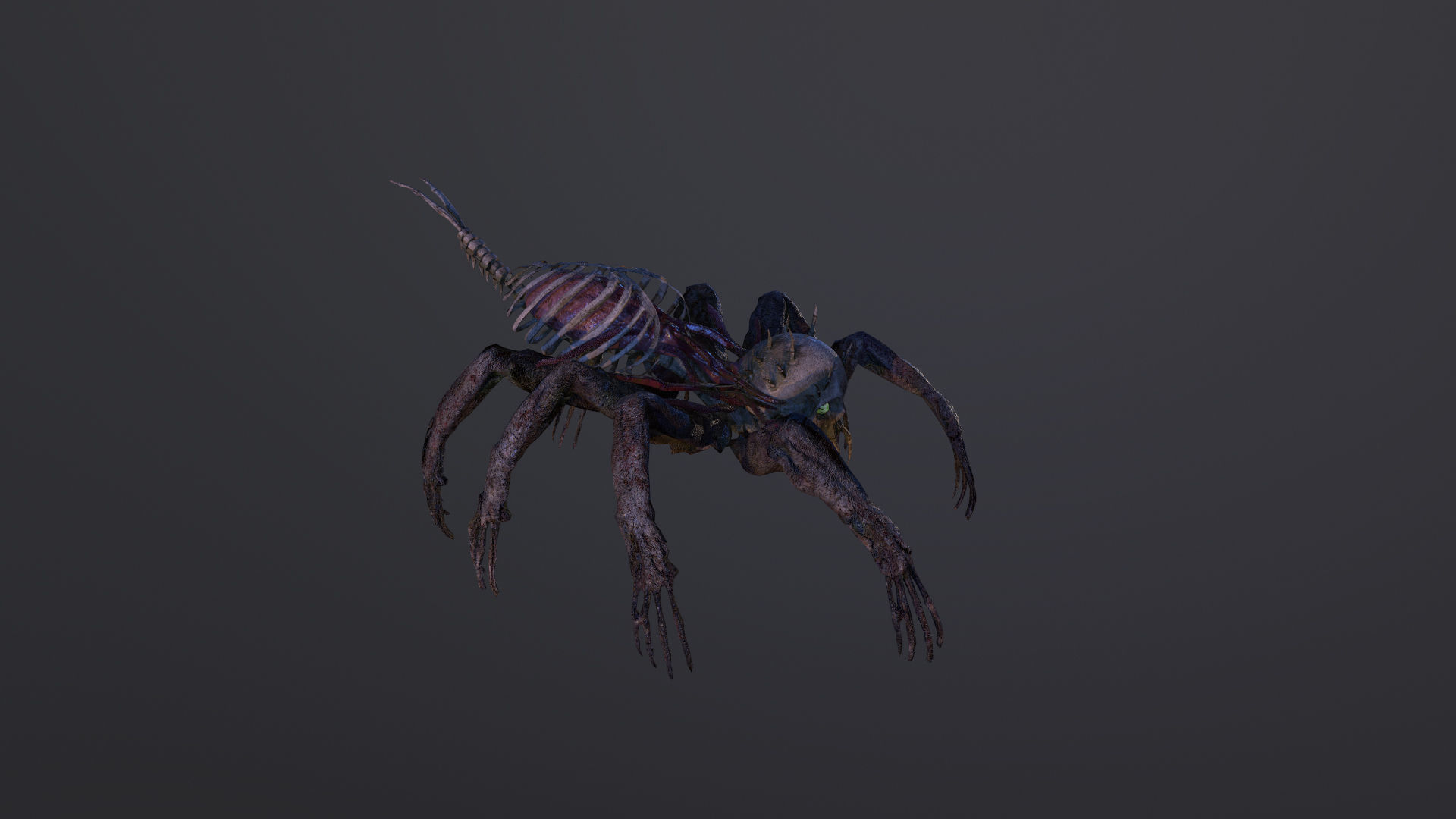 3D model Monster Bone Spider VR / AR / low-poly rigged animated | CGTrader