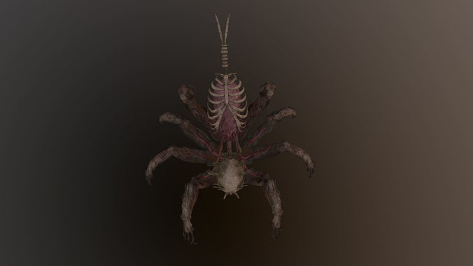 3D model Monster Bone Spider VR / AR / low-poly rigged animated | CGTrader