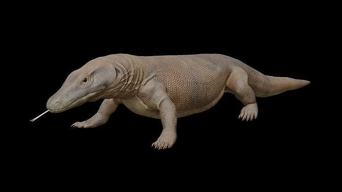 3D model Komodo Dragon VR / AR / low-poly | CGTrader