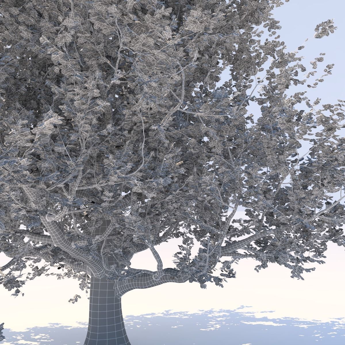 Oak tree free 3D model | CGTrader