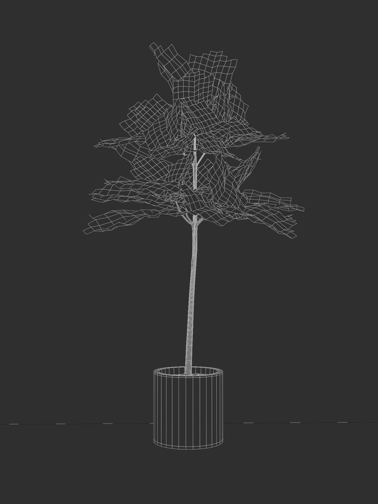 Fiddle Leaf Fig free VR / AR / low-poly 3D model | CGTrader