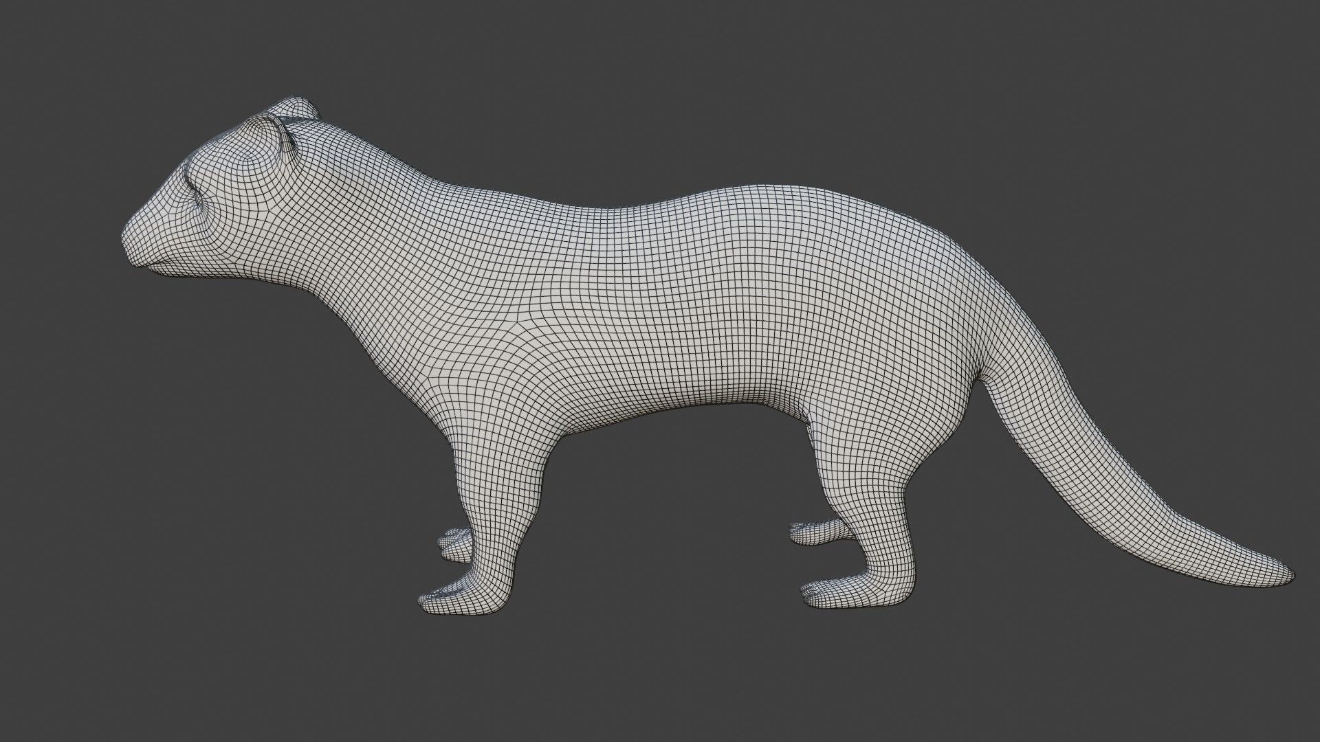 3D model Mongoose VR / AR / low-poly rigged | CGTrader