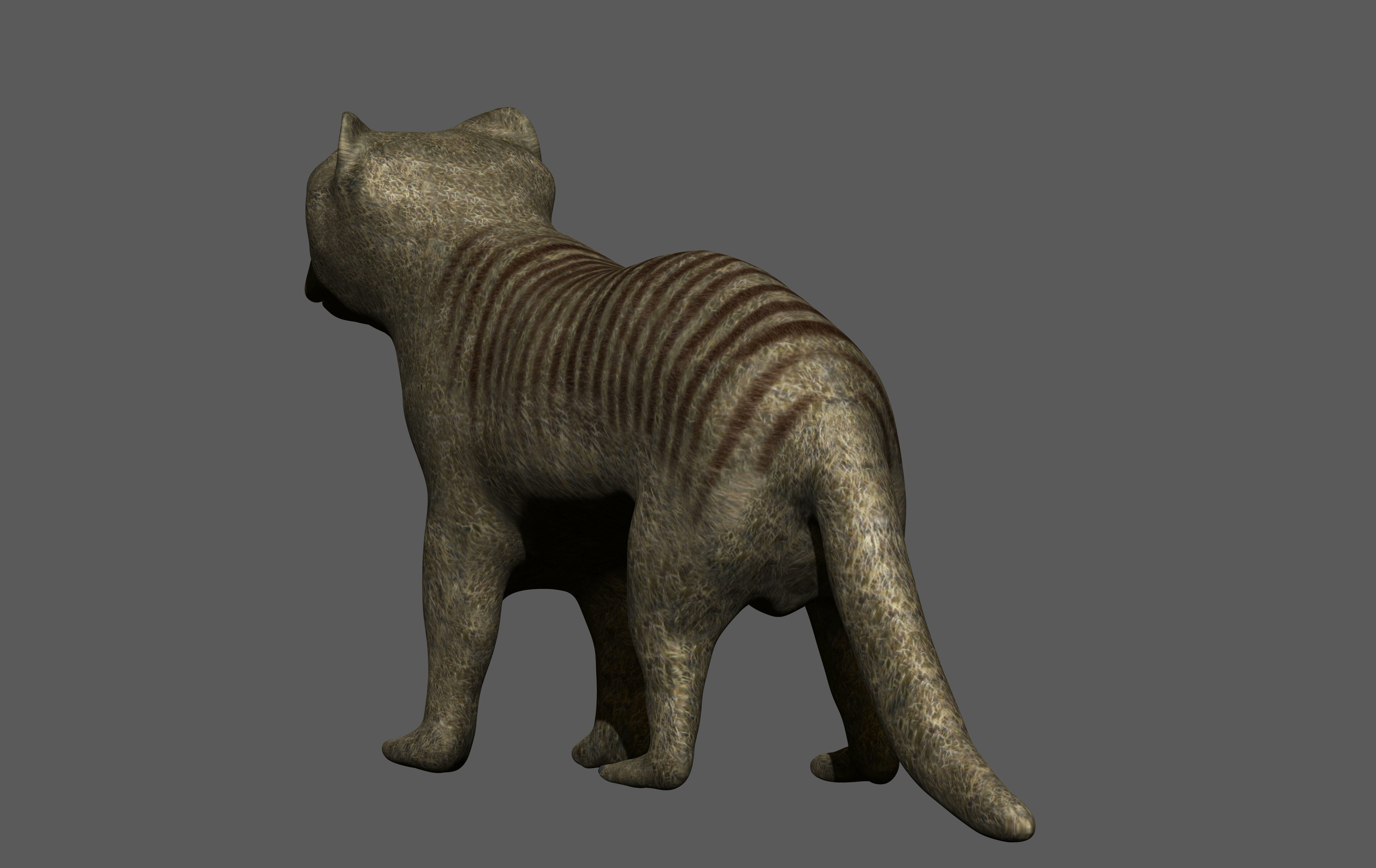 3D model Mongoose kangaroo VR / AR / low-poly rigged | CGTrader