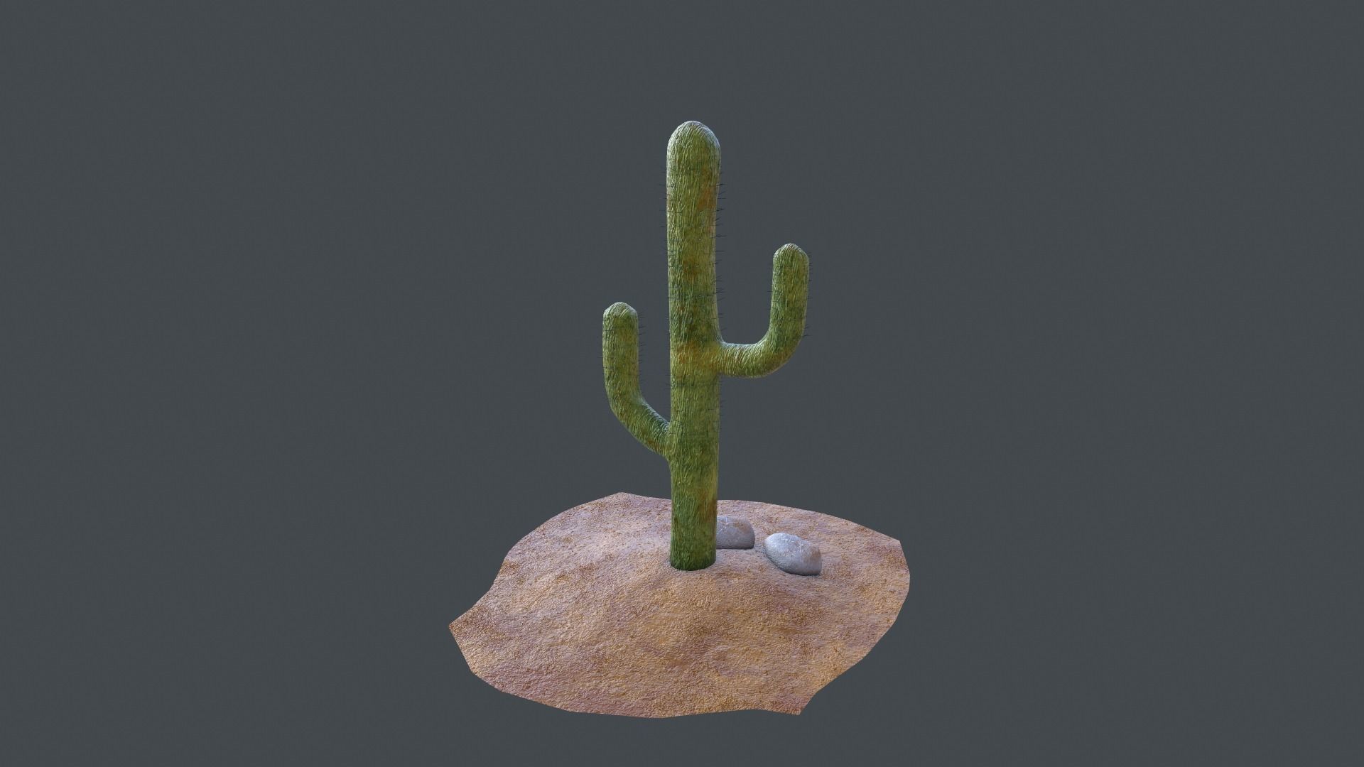3D model low poly cactus VR / AR / low-poly | CGTrader