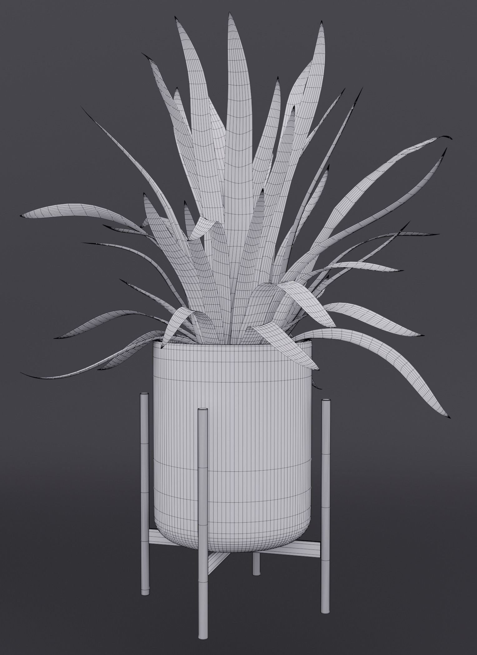Yucca home plant 3D model | CGTrader