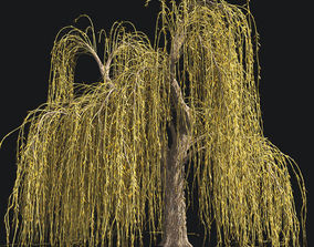 Low-poly Willow 3D Models | CGTrader