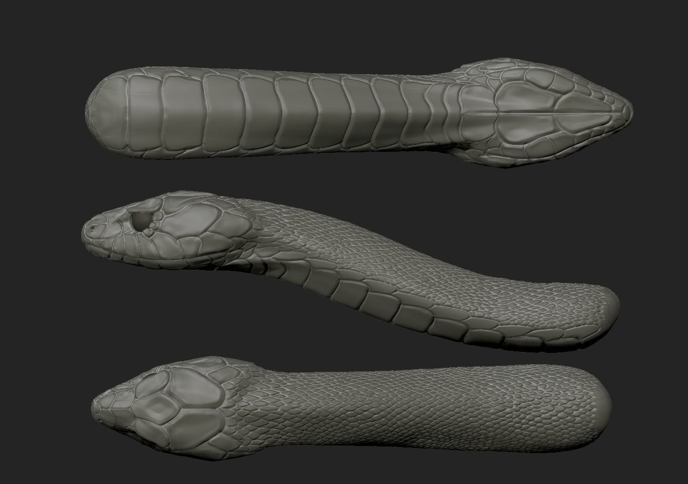 snake head 3D model 3D printable | CGTrader