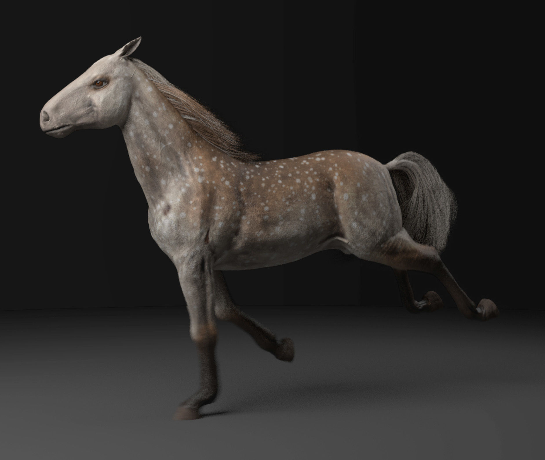 Horse model running 3D model rigged | CGTrader
