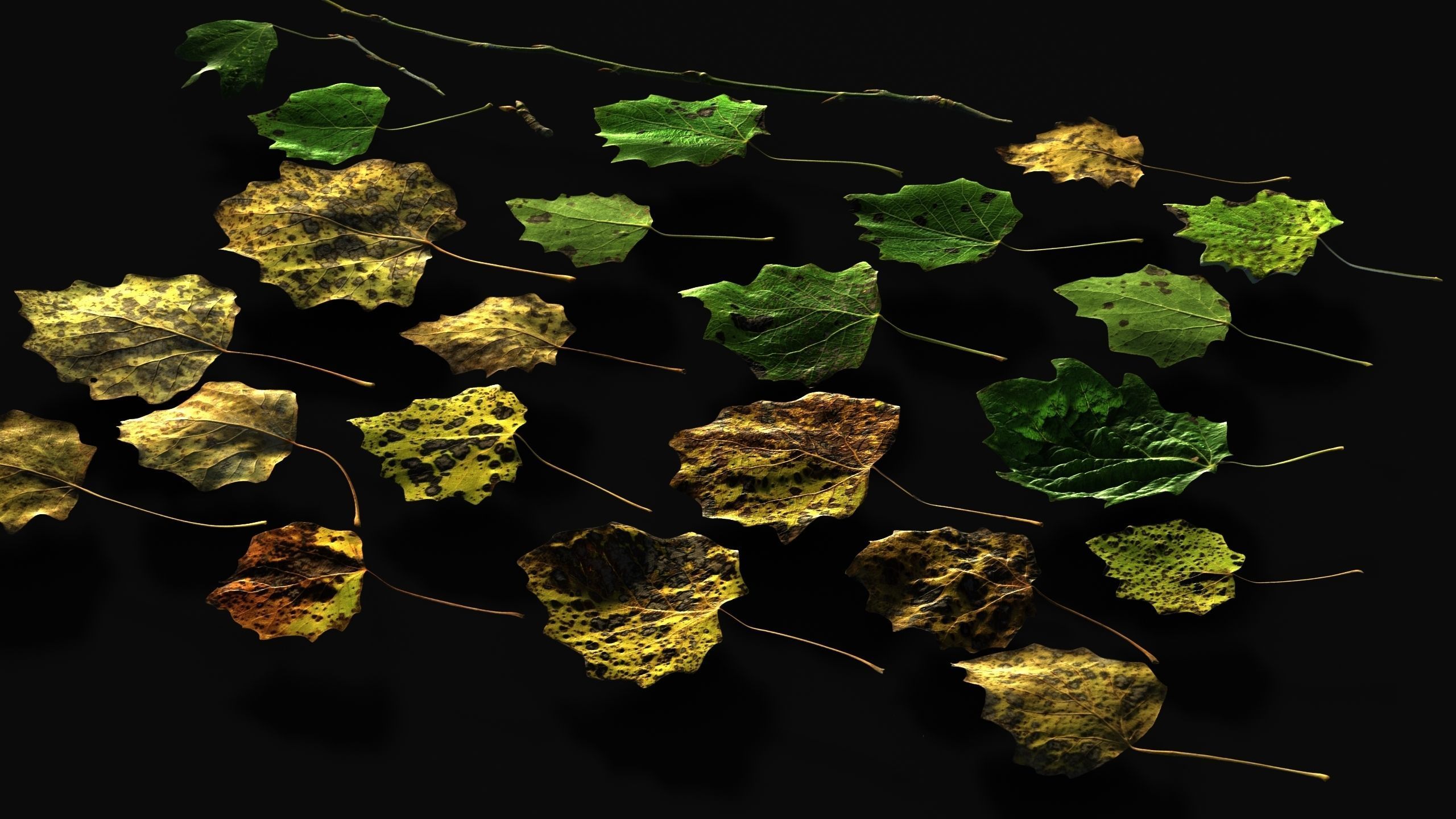 36 Foliage types- 32-16 bit 6K atlases - 325 textures Texture | CGTrader