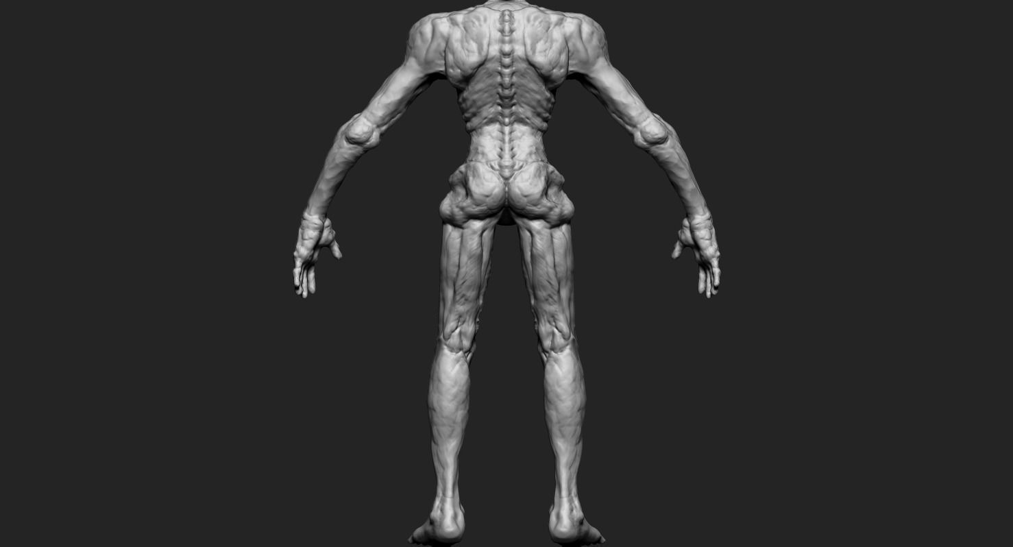 high poly creature body 3D model | CGTrader