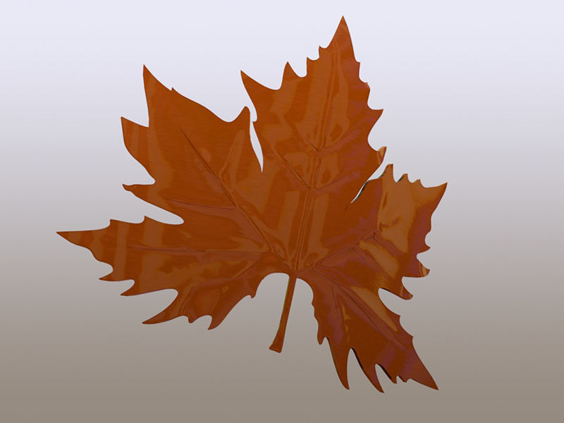 plane tree leaf 3D model | CGTrader