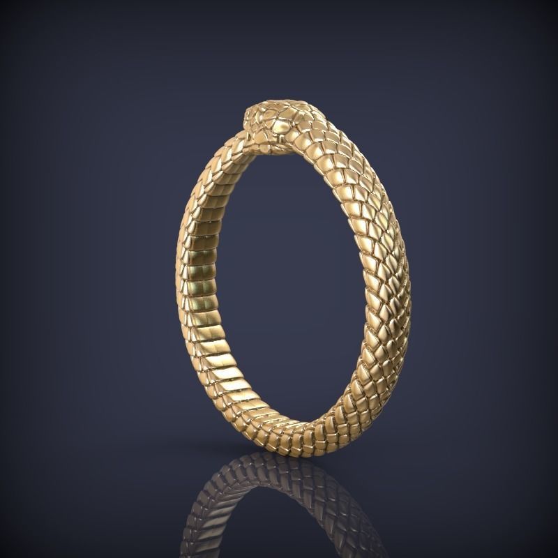 Snake Ouroboros Jewelry Ring 3d print model 3D model 3D printable ...