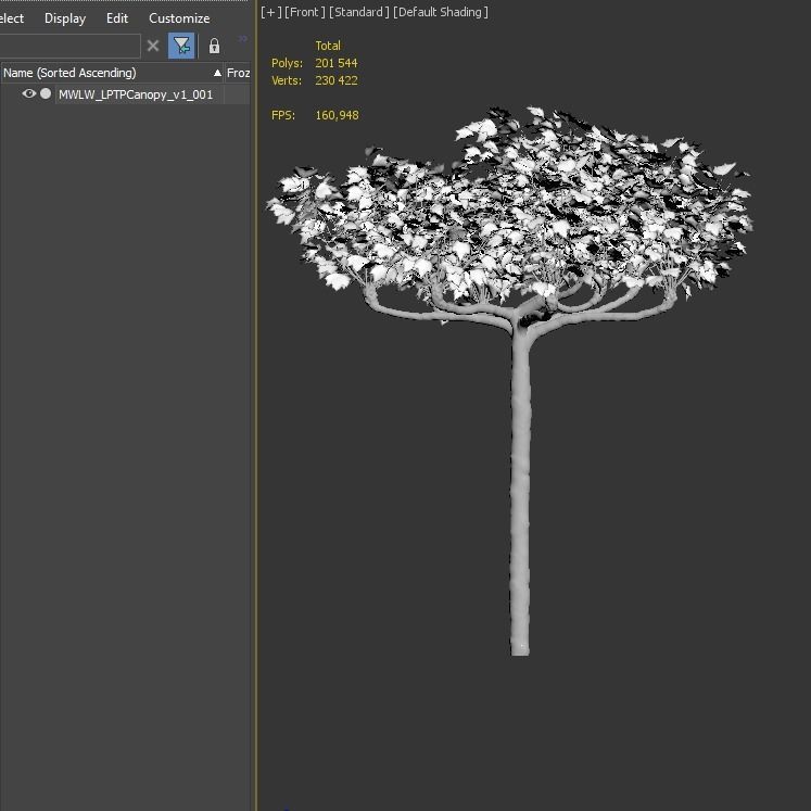 London planetree Canopy 5m 3D model | CGTrader