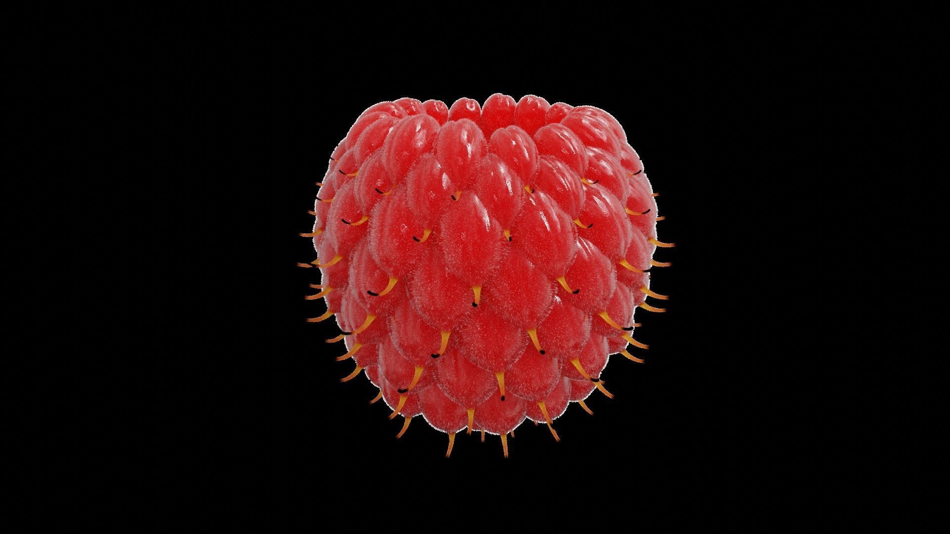 Raspberry 3D model | CGTrader