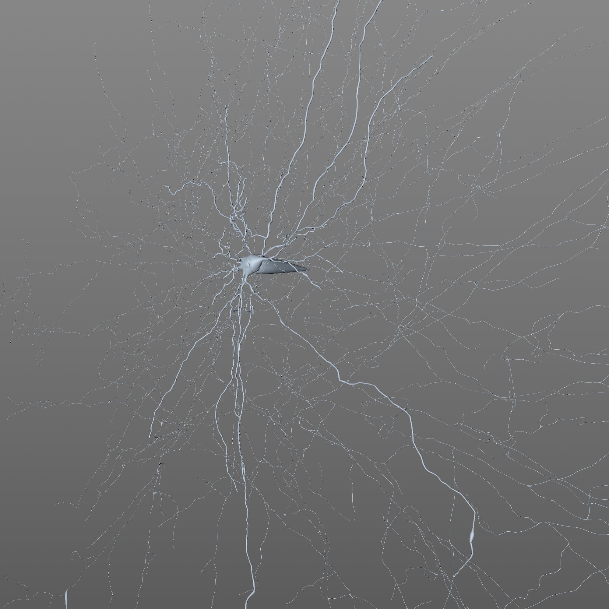 Set of 5 unique 3D Neuron Models-01 3D model animated | CGTrader