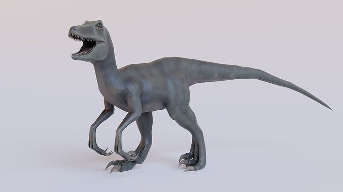 3D model Velociraptor 3d model VR / AR / low-poly | CGTrader
