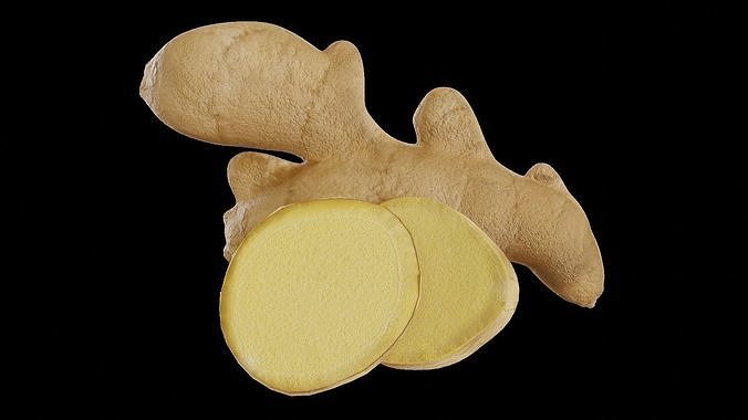 Ginger 3D model | CGTrader