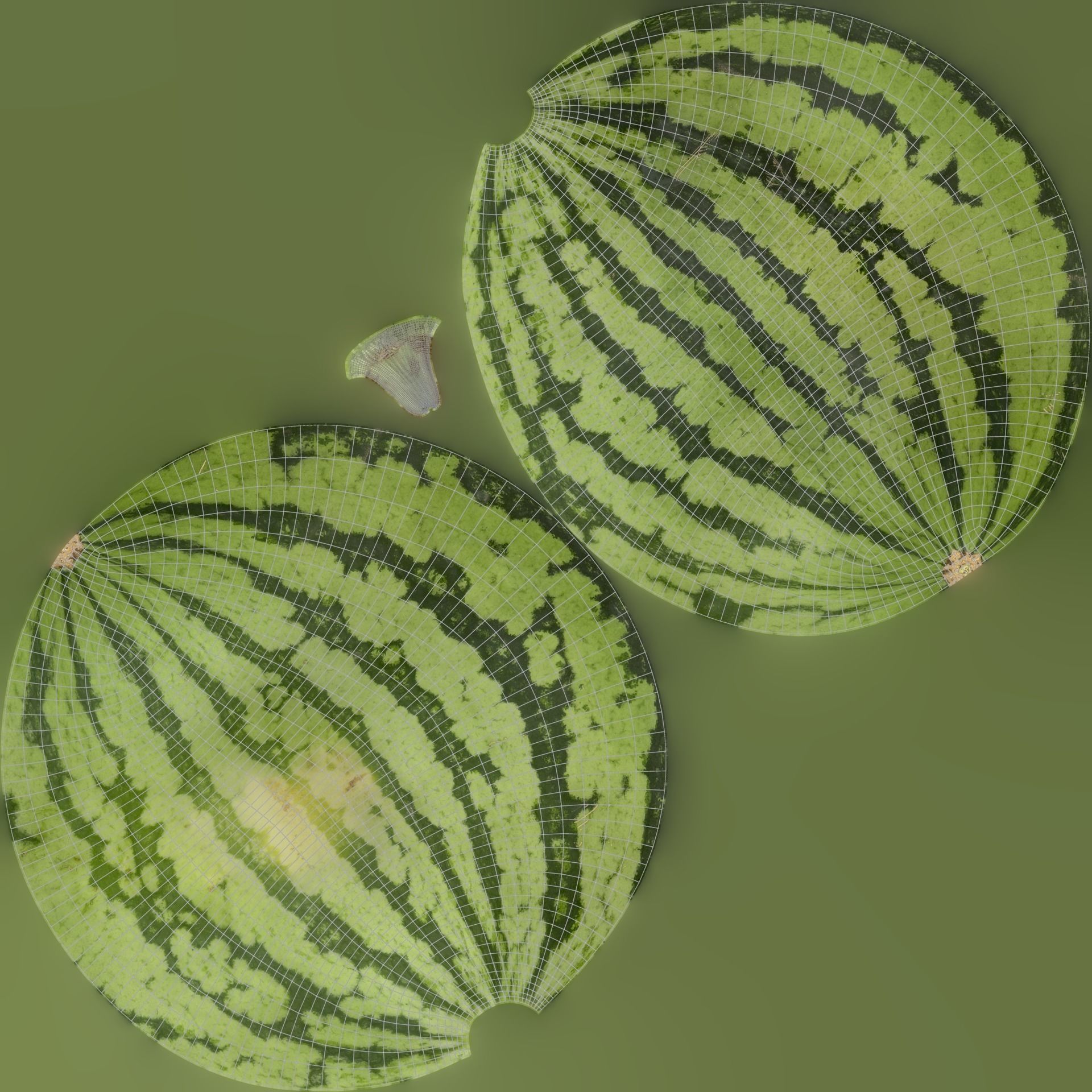 Watermelon Scan free 3D model | CGTrader