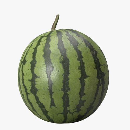 Watermelon Scan free 3D model | CGTrader