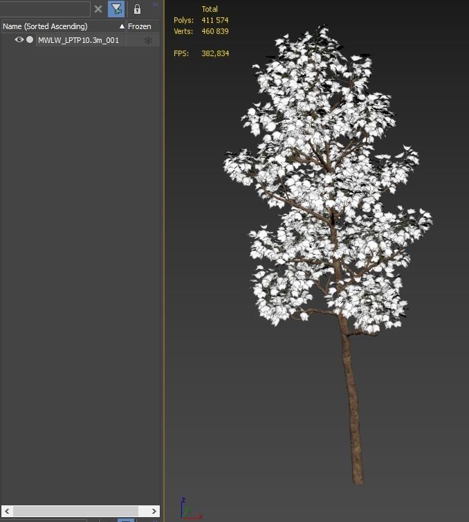 Pollarded London planetree 10m 3D model | CGTrader