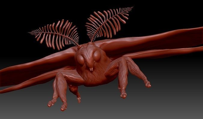Moth 3D Model with long legs and wings free 3D model | CGTrader