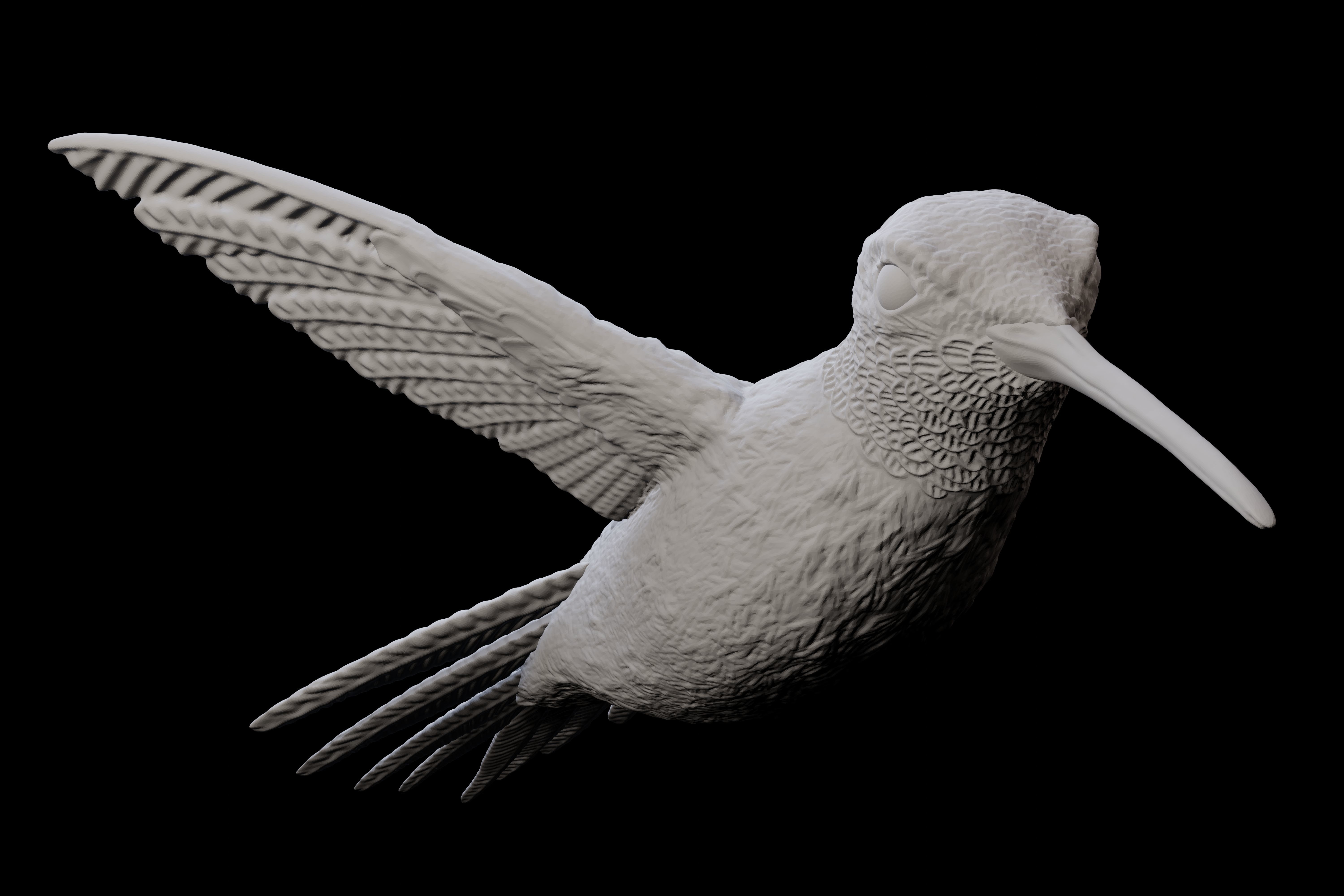 Hummingbird for 3d printing 3D model 3D printable | CGTrader