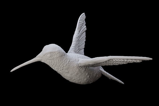 Hummingbird for 3d printing 3D model 3D printable | CGTrader