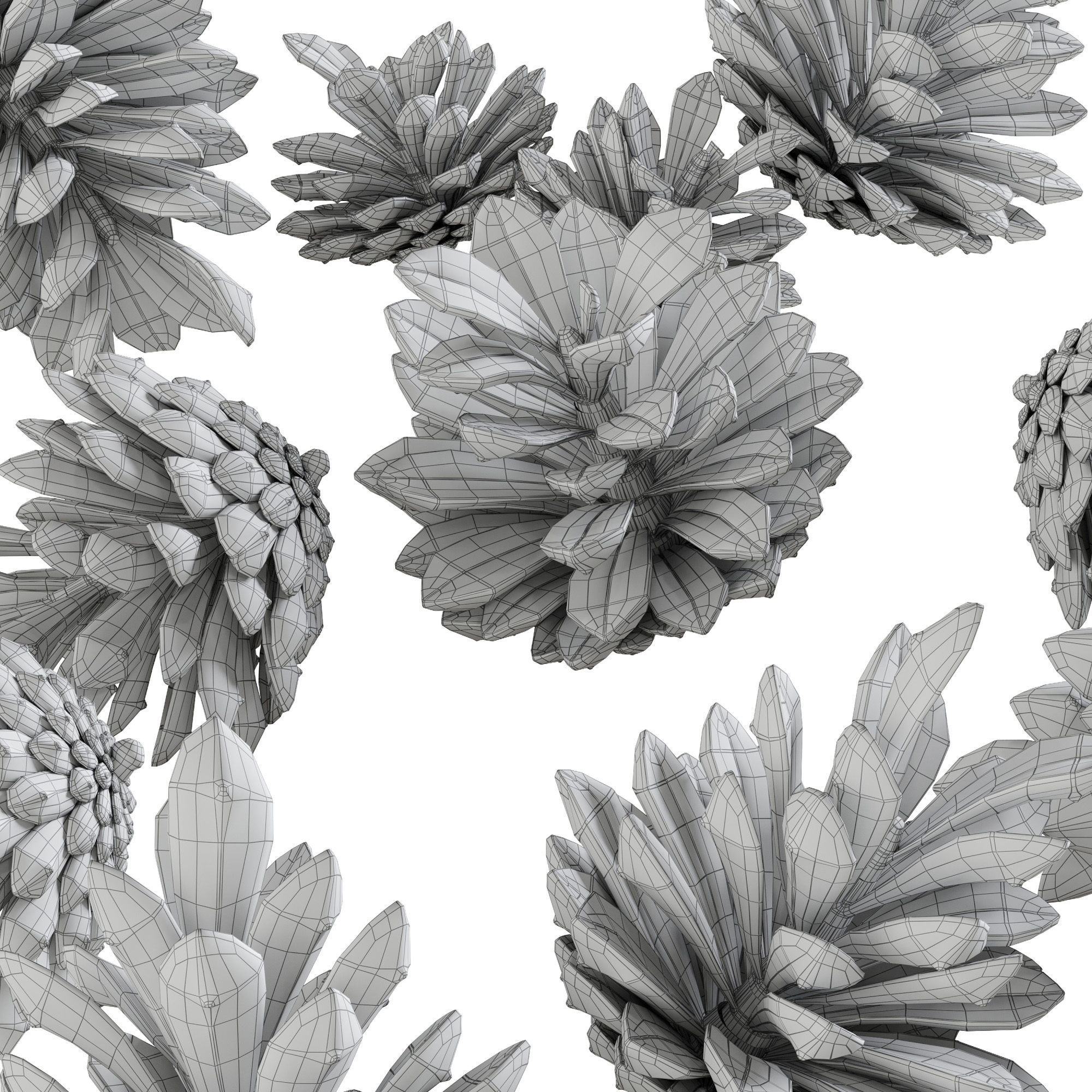 Pine Cone Set 3D model | CGTrader