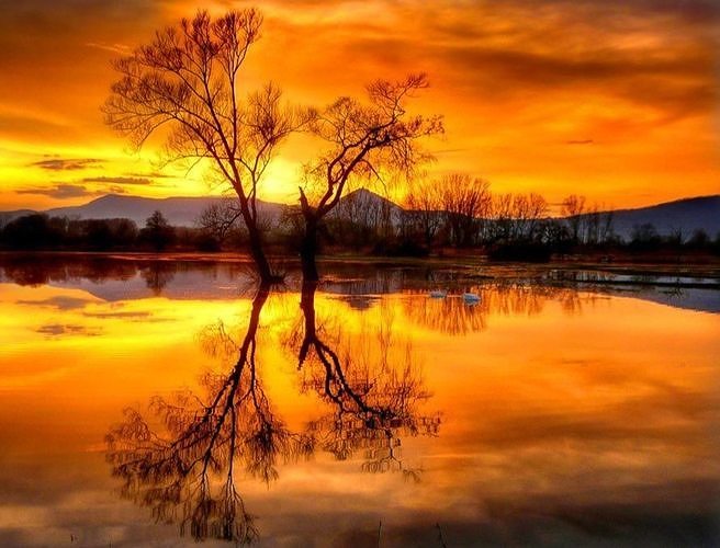 Sunset 3D model | CGTrader