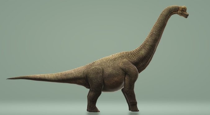3D model Brachiosaurus with Animation VR / AR / low-poly | CGTrader