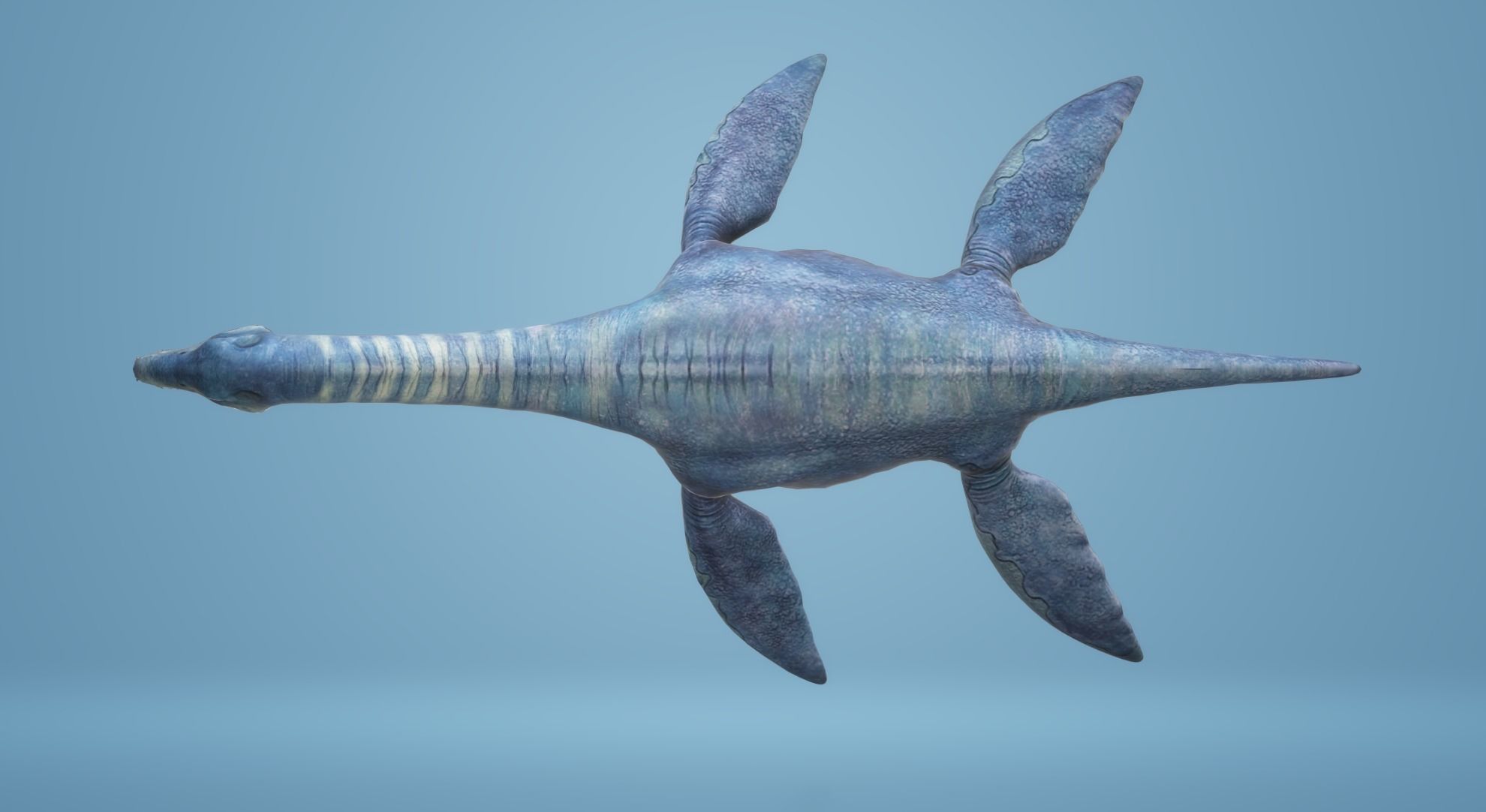 3D model Plesiosaurus with Animation VR / AR / low-poly | CGTrader