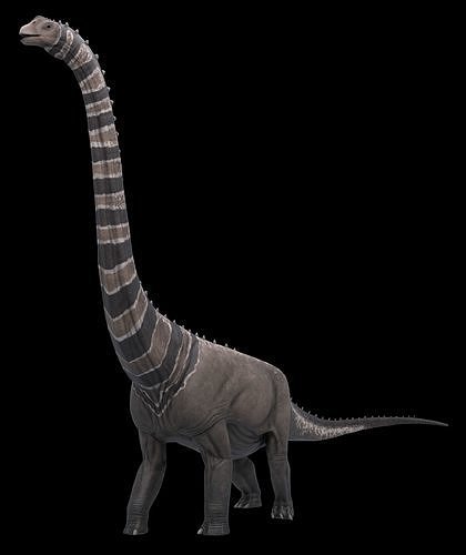 3D model Argentinosaurus Asset Pack VR / AR / low-poly rigged animated ...
