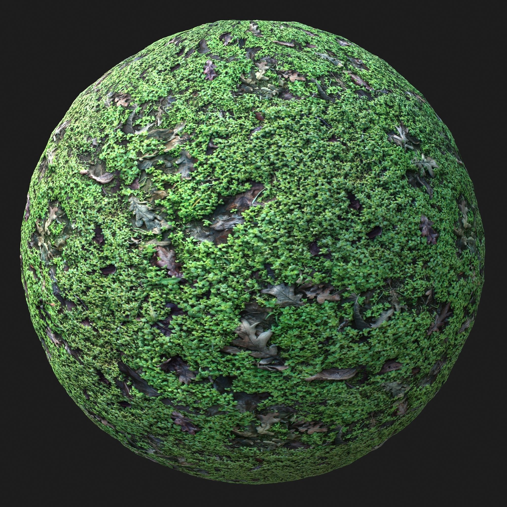 Ground Collection PBR Texture Texture | CGTrader