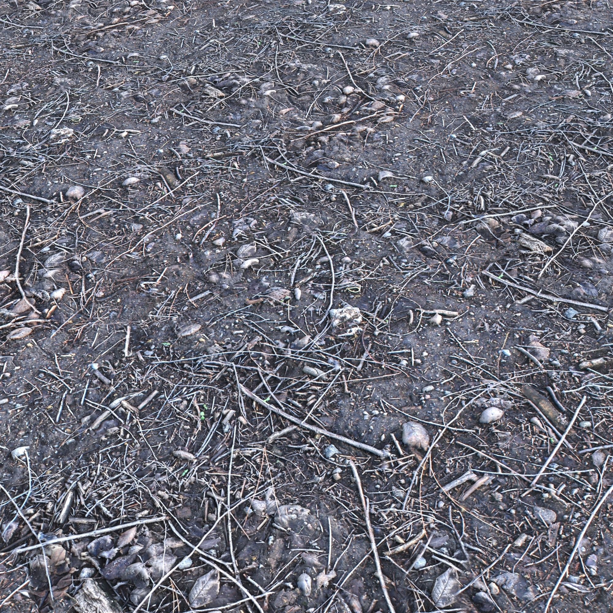 Ground Collection PBR Texture Texture | CGTrader