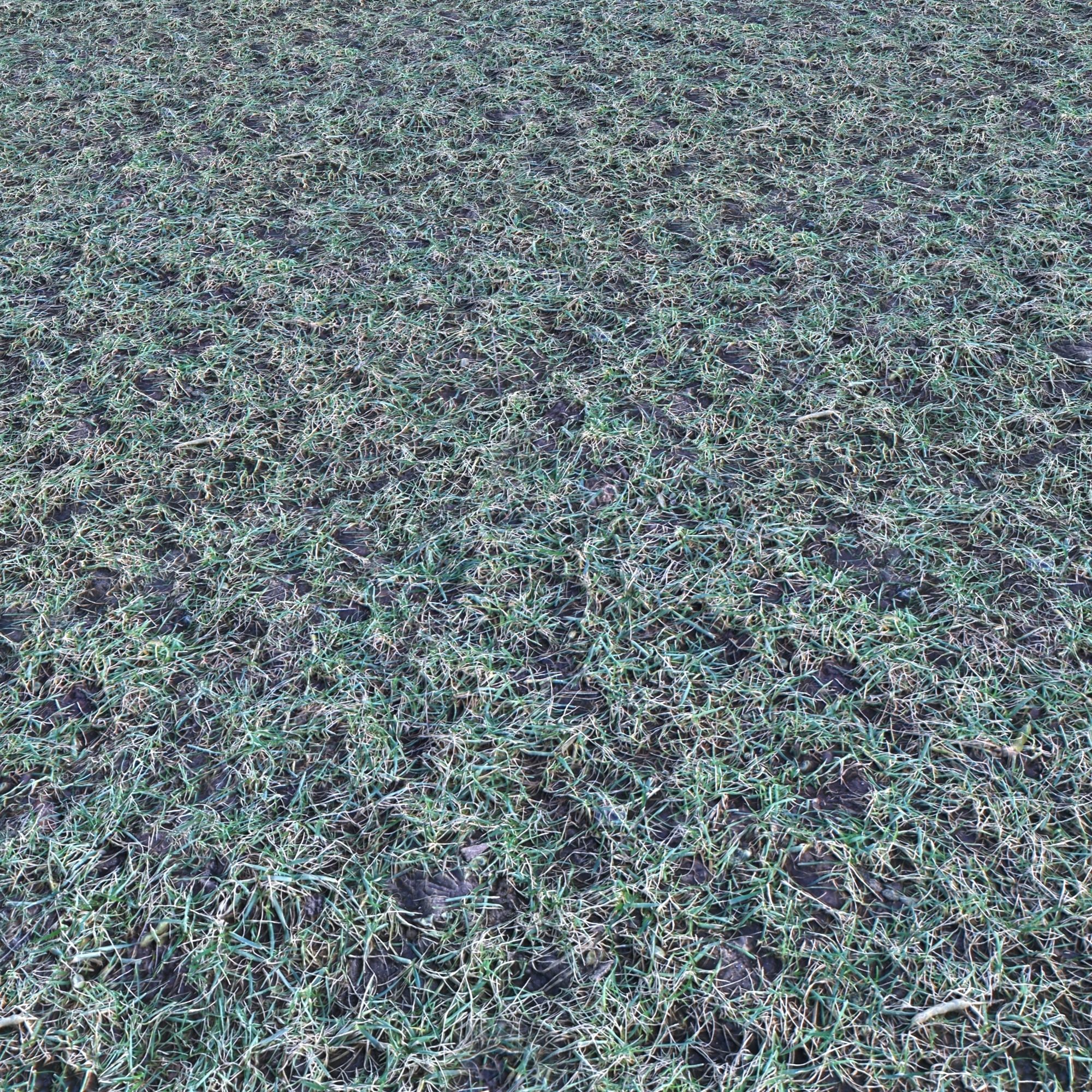 Ground Collection PBR Texture Texture | CGTrader