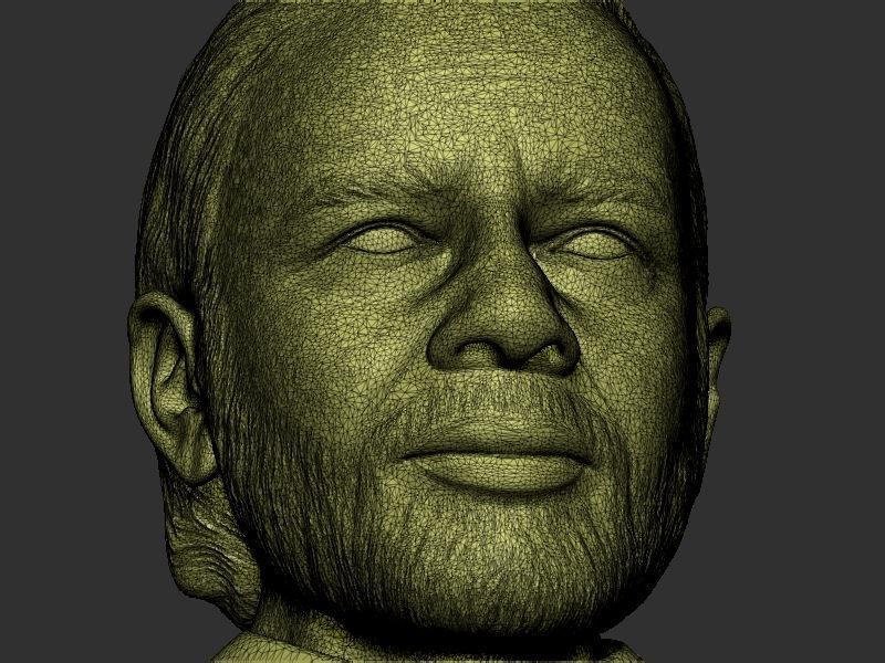 Narendra Modi Bust Gray 3D model 3D printable | CGTrader