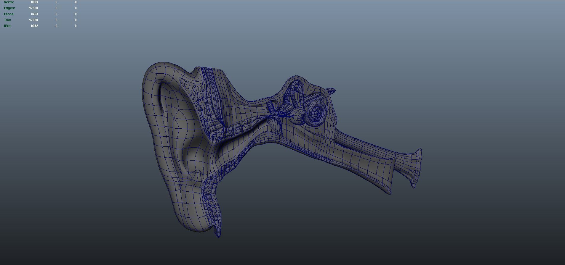 3d render of male human ear anatomy system 3D model | CGTrader