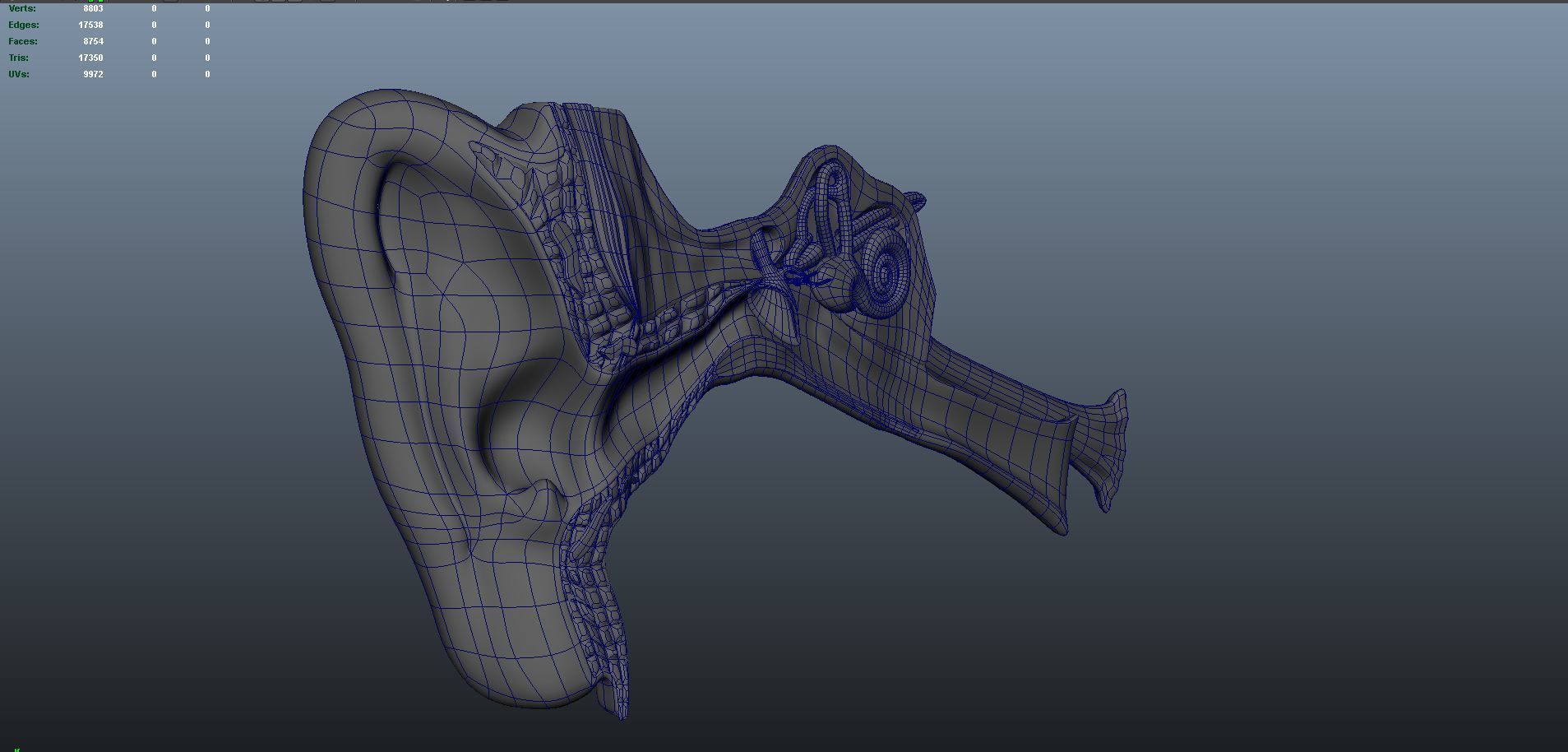 3d render of male human ear anatomy system 3D model | CGTrader