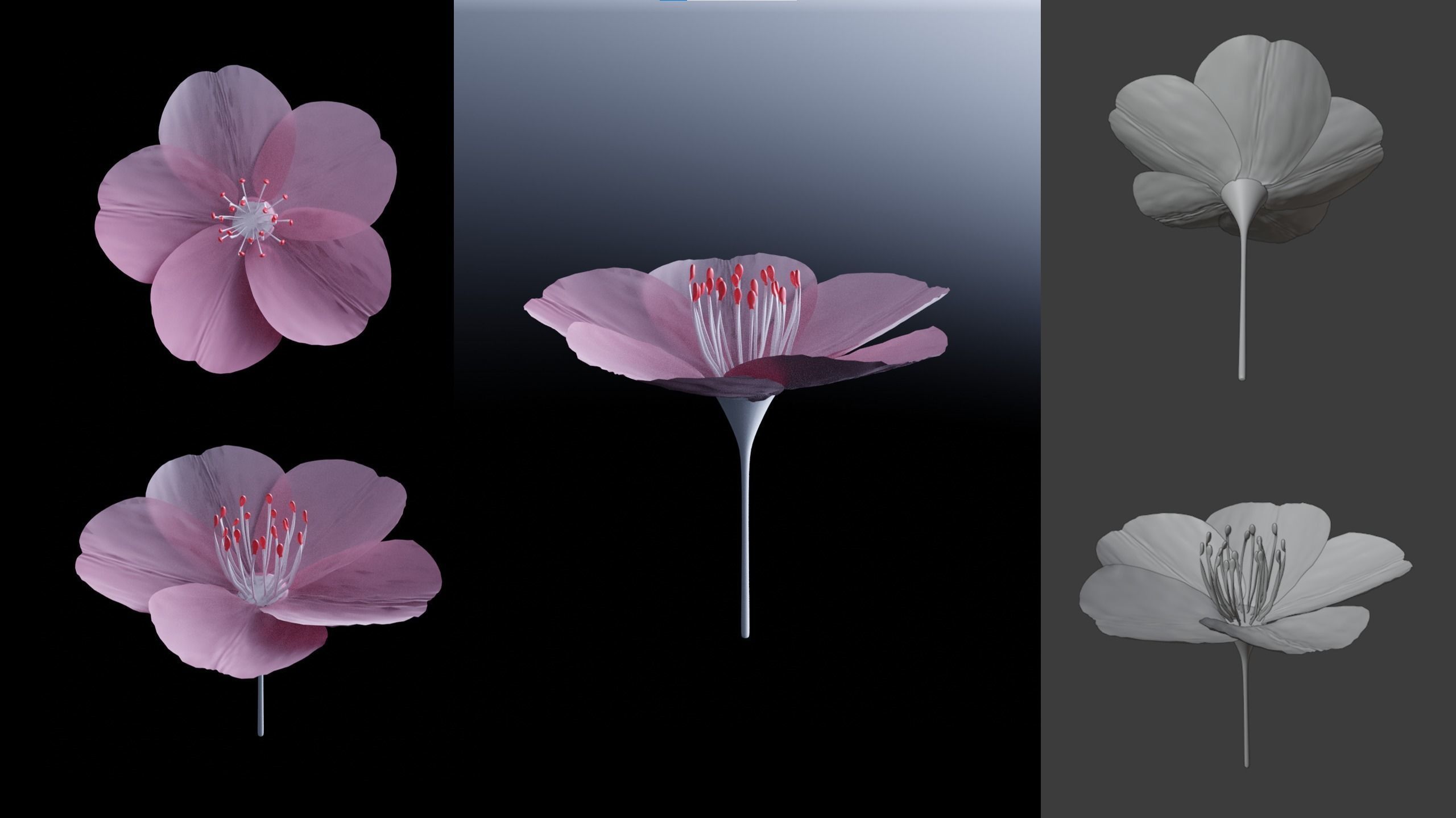 sakura blossom 3d model - cherry blossom flower 3D model | CGTrader