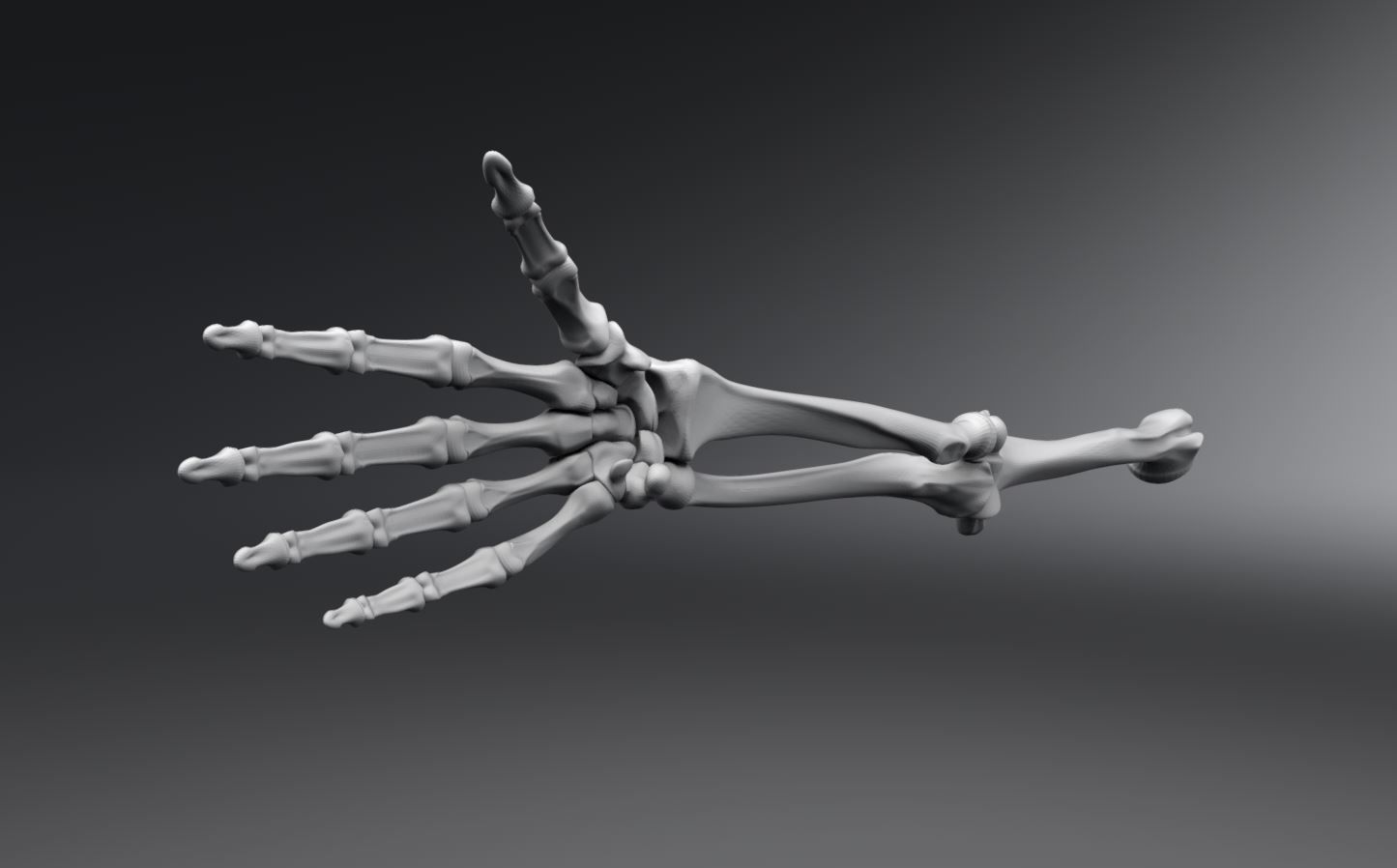 Human Hand Realistic Articulated 3D model 3D printable | CGTrader