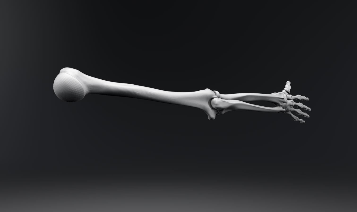 Human Hand Realistic Articulated 3D model 3D printable | CGTrader