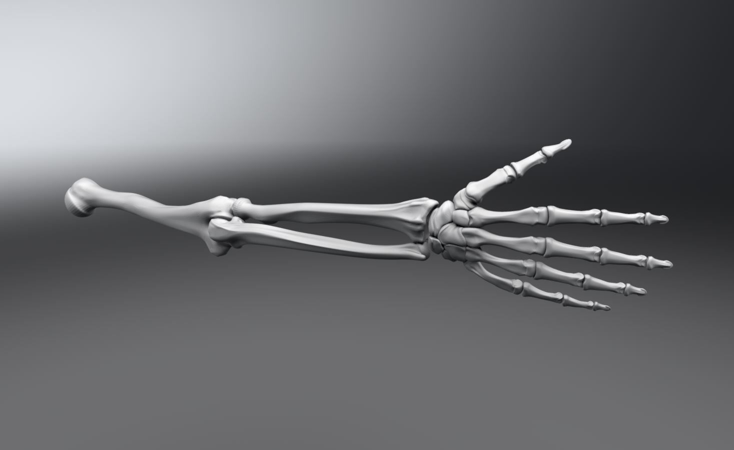 Human Hand Realistic Articulated 3D model 3D printable | CGTrader