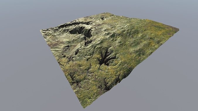 European Biome 1 free VR / AR / low-poly 3D model | CGTrader