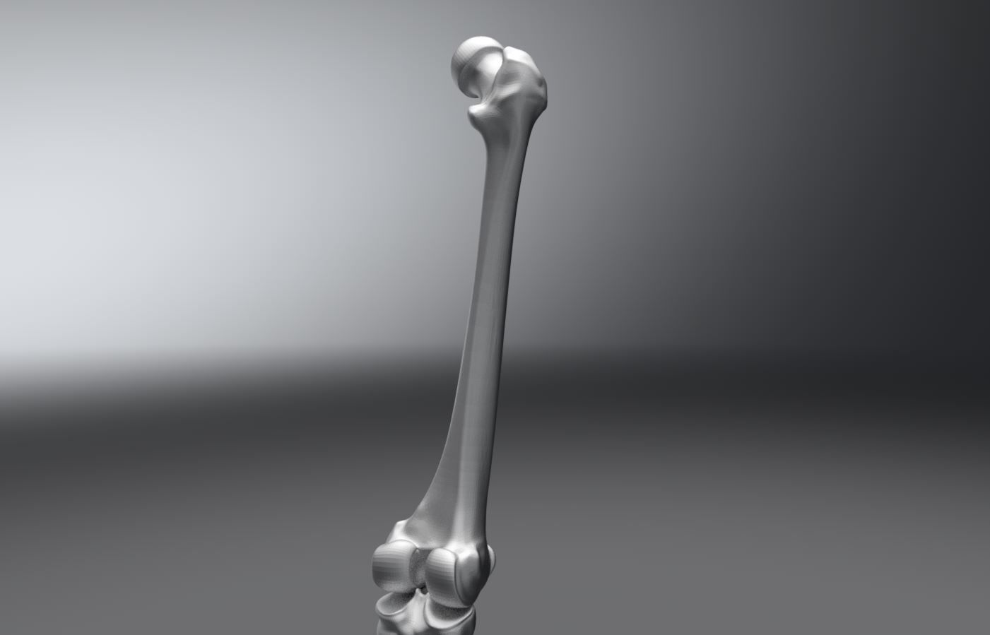 Human Leg Realistic Articulated 3D model 3D printable | CGTrader