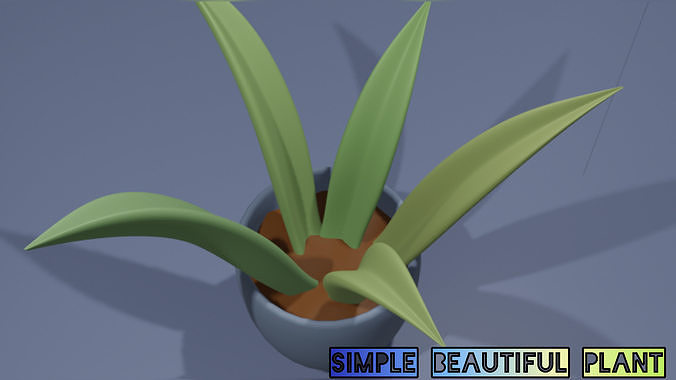 3D model Simple Plant VR / AR / low-poly | CGTrader