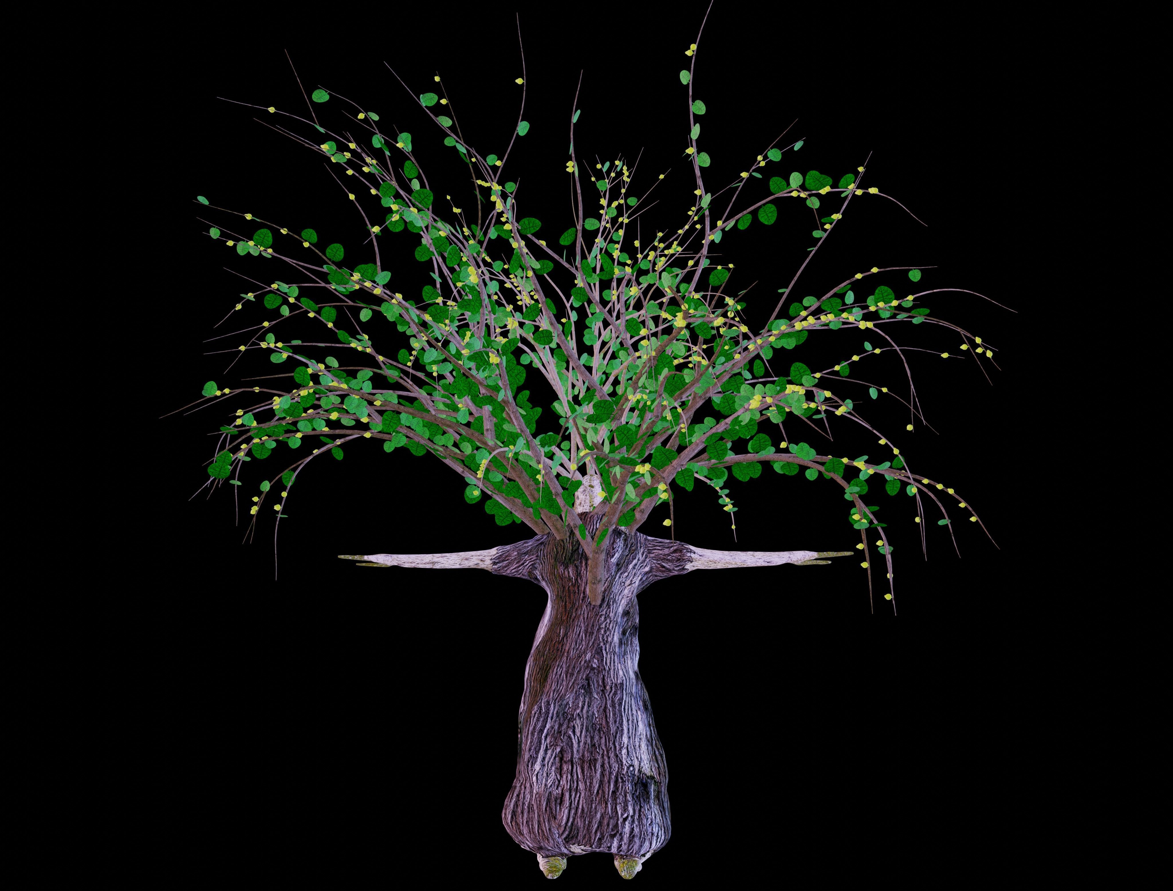 3D model Ent - Drzewiec VR / AR / low-poly | CGTrader